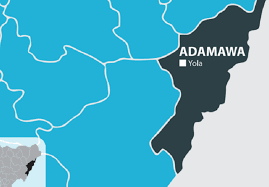 Untold Story: How Adamawa's River Becomes Centre Of Attraction To Value ...